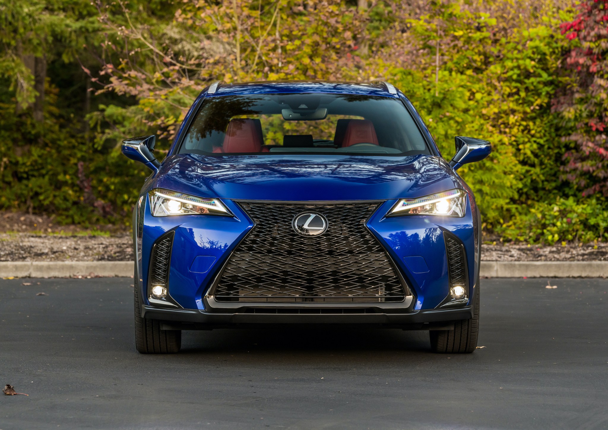 Is the 2020 Lexus UX 250h the Best Hybrid SUV?