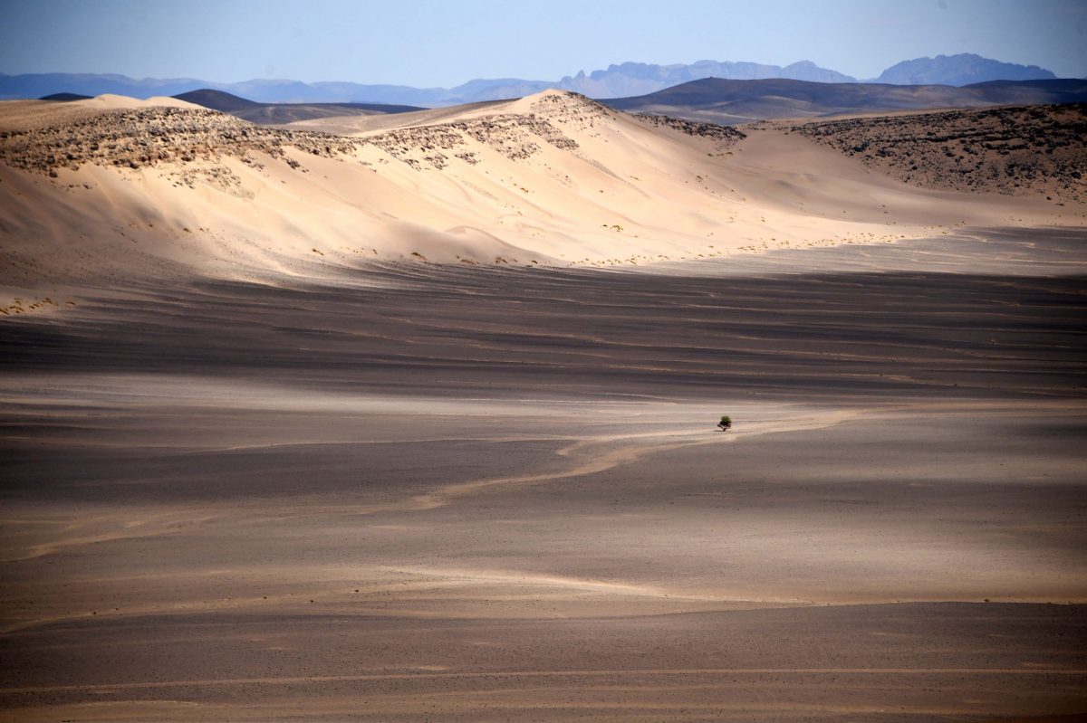 The Best Way to Escape the Moroccan Desert is on a Homemade Motorbike