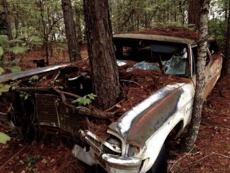 Rusty Monday: Plants Are Feasting On These Rusted Cars