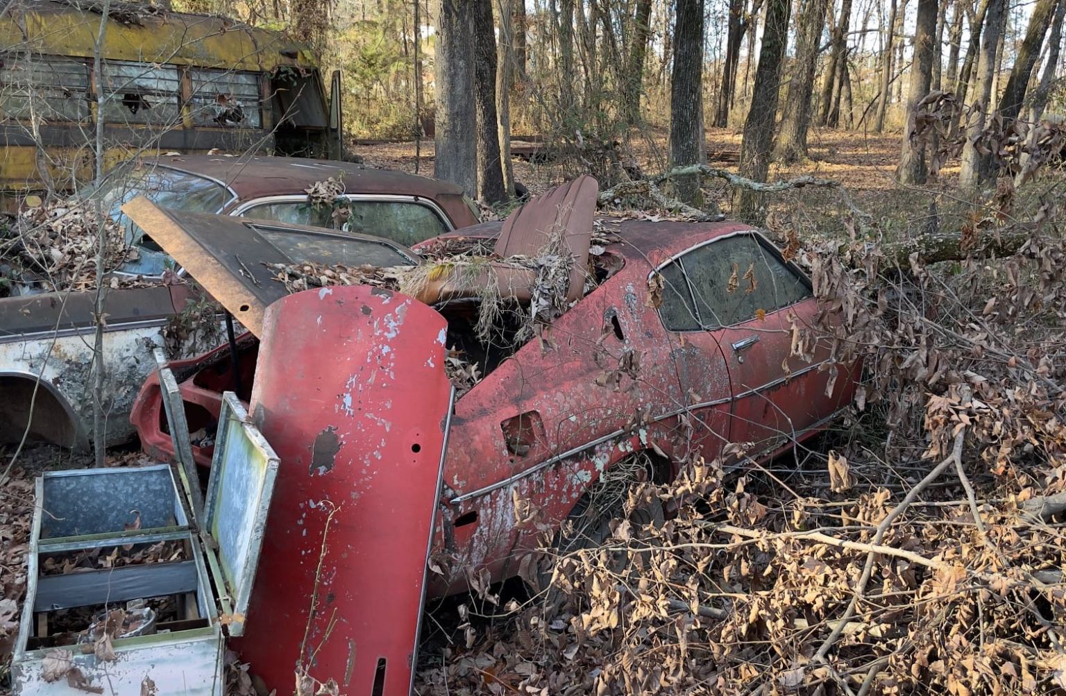 Rusty Monday: Rusty Fastback Dreams