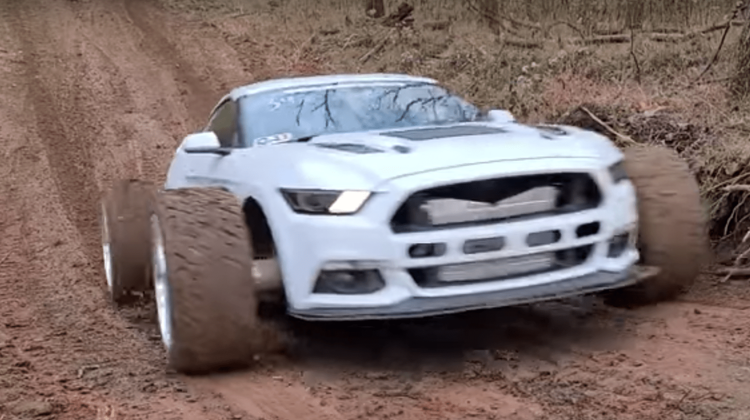 Watch: Insane "Mudstang" Mustang Is Real And Alive