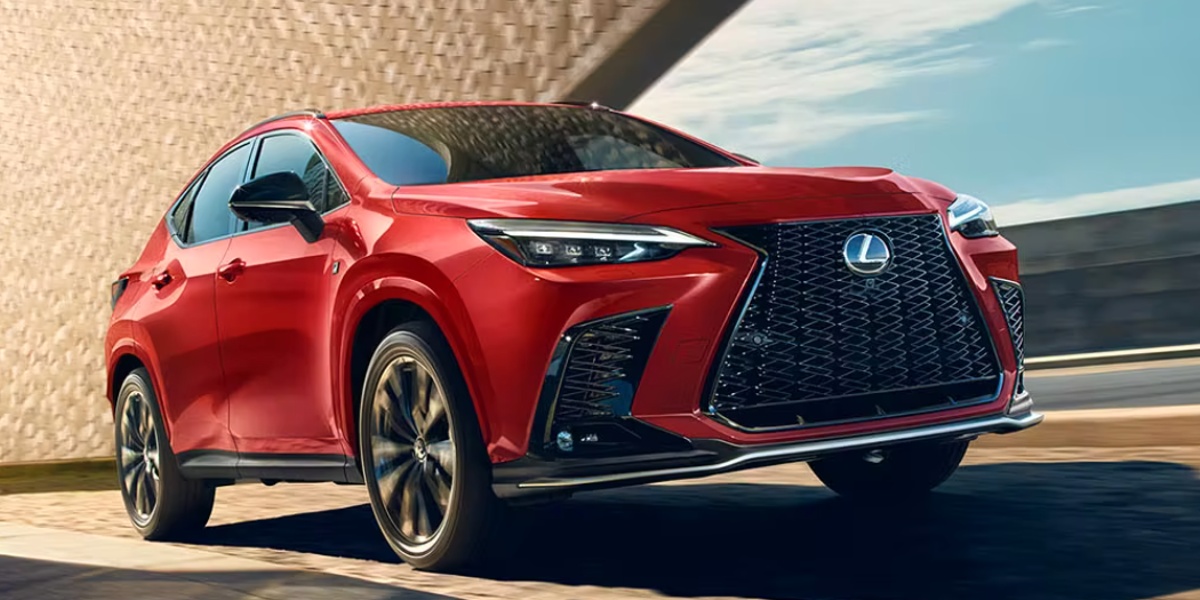 1 Lexus NX Trim Is Attracting More Consumers' Attention Than the Rest