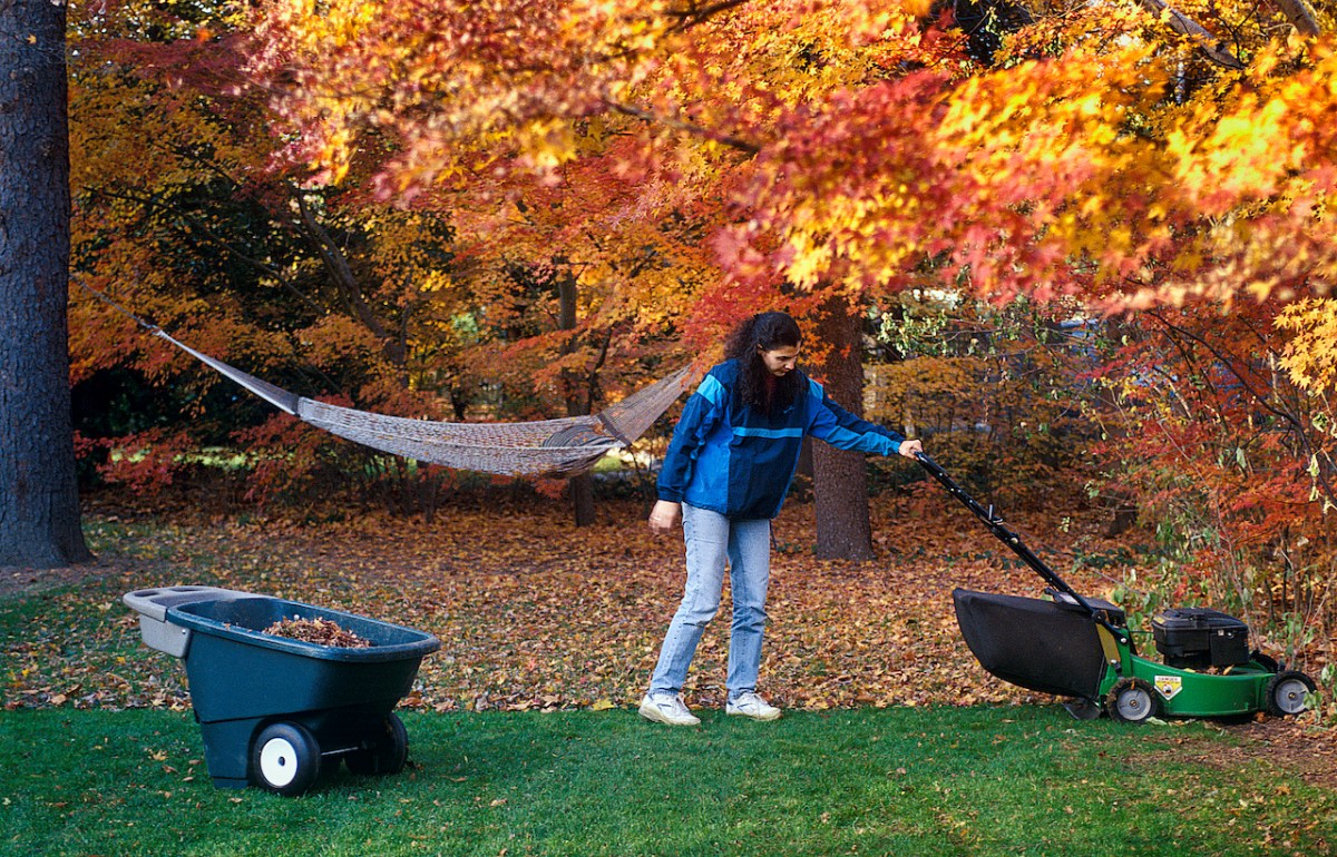 Top Tips on Preparing Your Lawn Mower for Falling Leaves and Autumn Weather