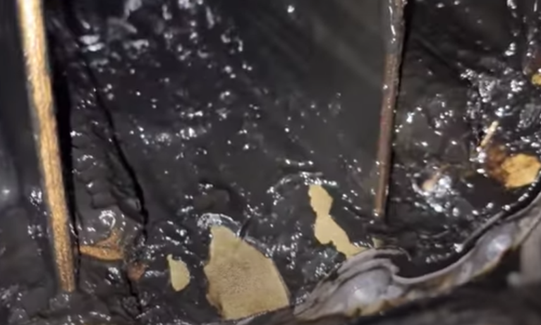 Look Inside: Ford Power Stroke Diesel with Catastrophic Damage