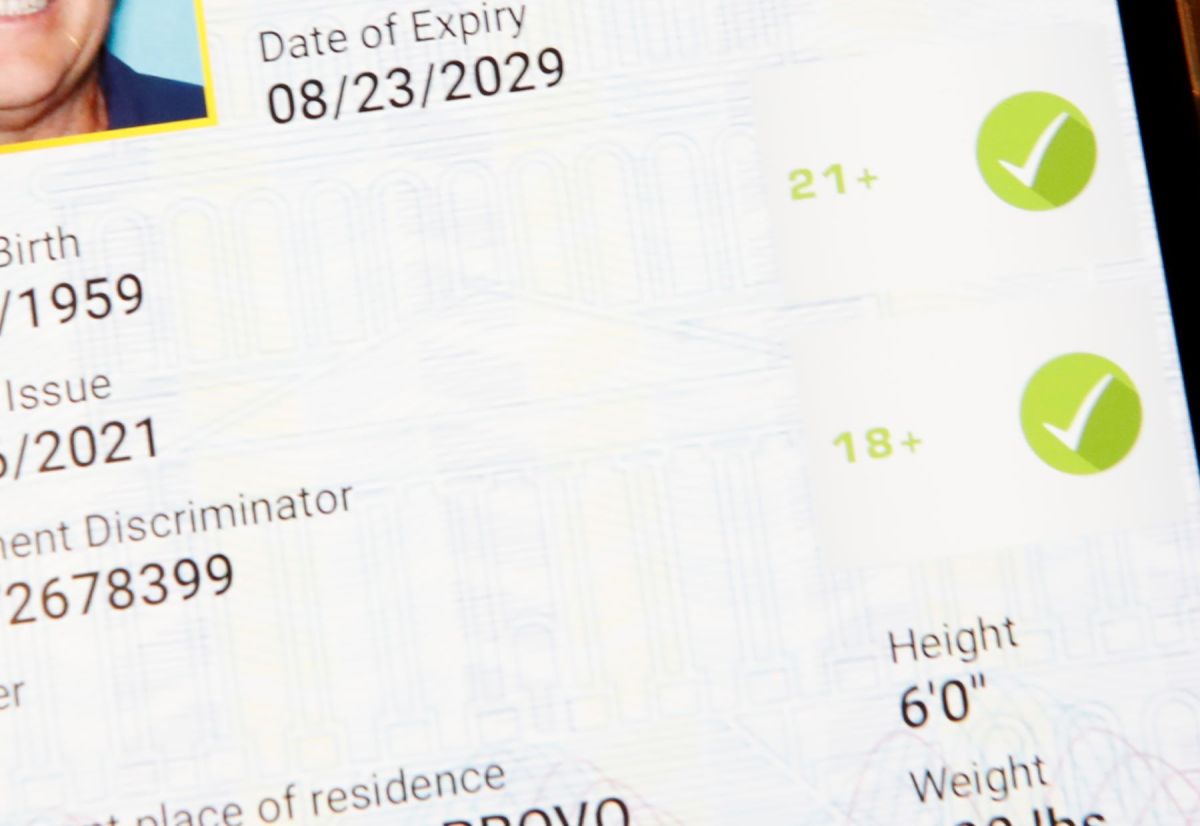 What Countries Accept a U.S. Driver's License?