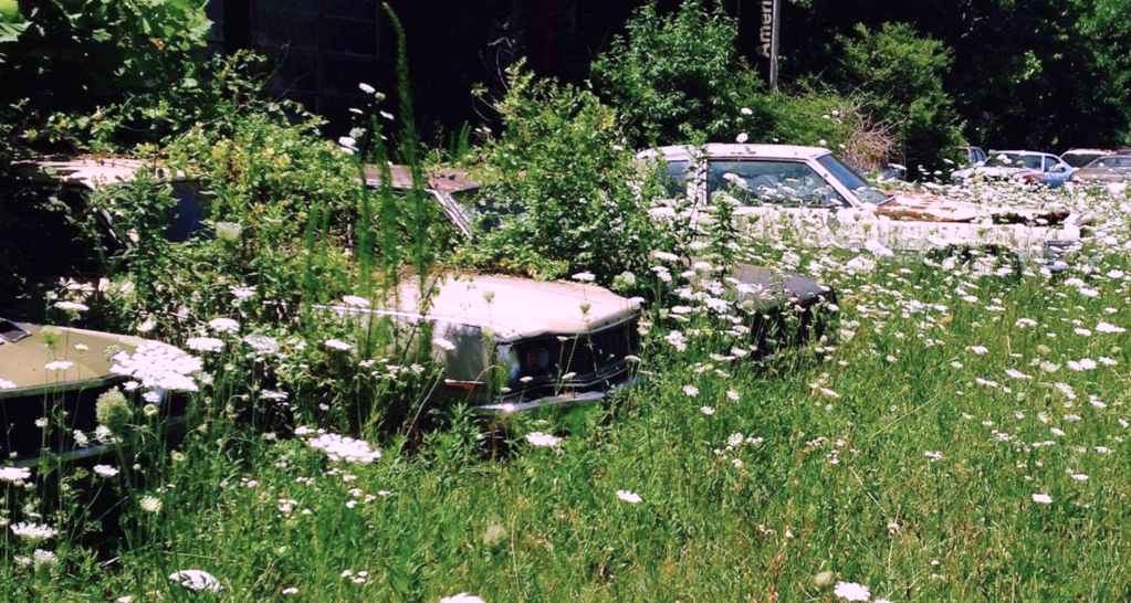 Time is Running Out For the Last AMC Dealership