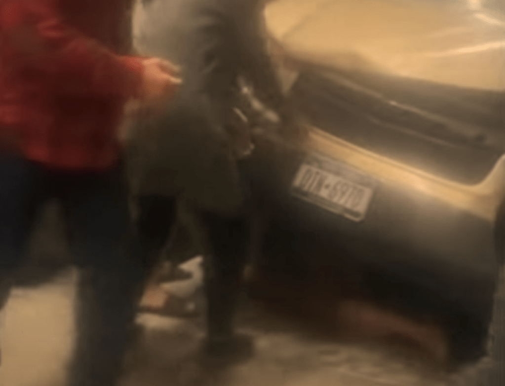 Dog and Child Trapped Under Car Saved by TV Show Cast and Crew of 'Gravesend' Series