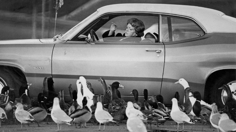How Much Duckpower Does Your Car Have?