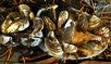 How to Remove Zebra Mussels From Your Boat