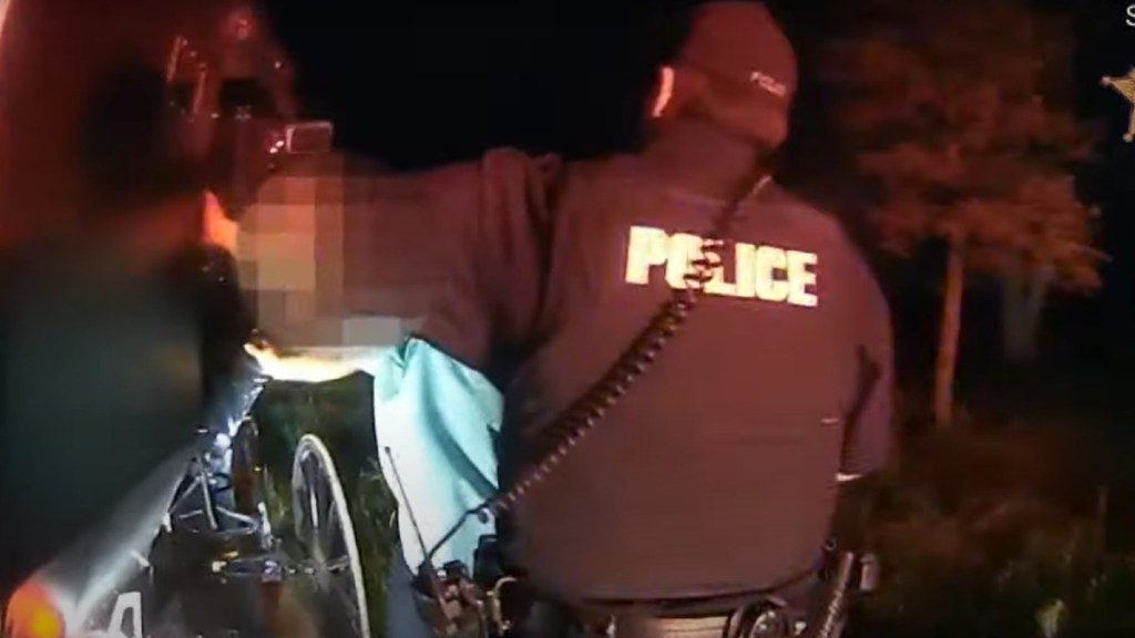 Police Chase Horse and Buggy With Drunk, Passed-Out Amish Driver