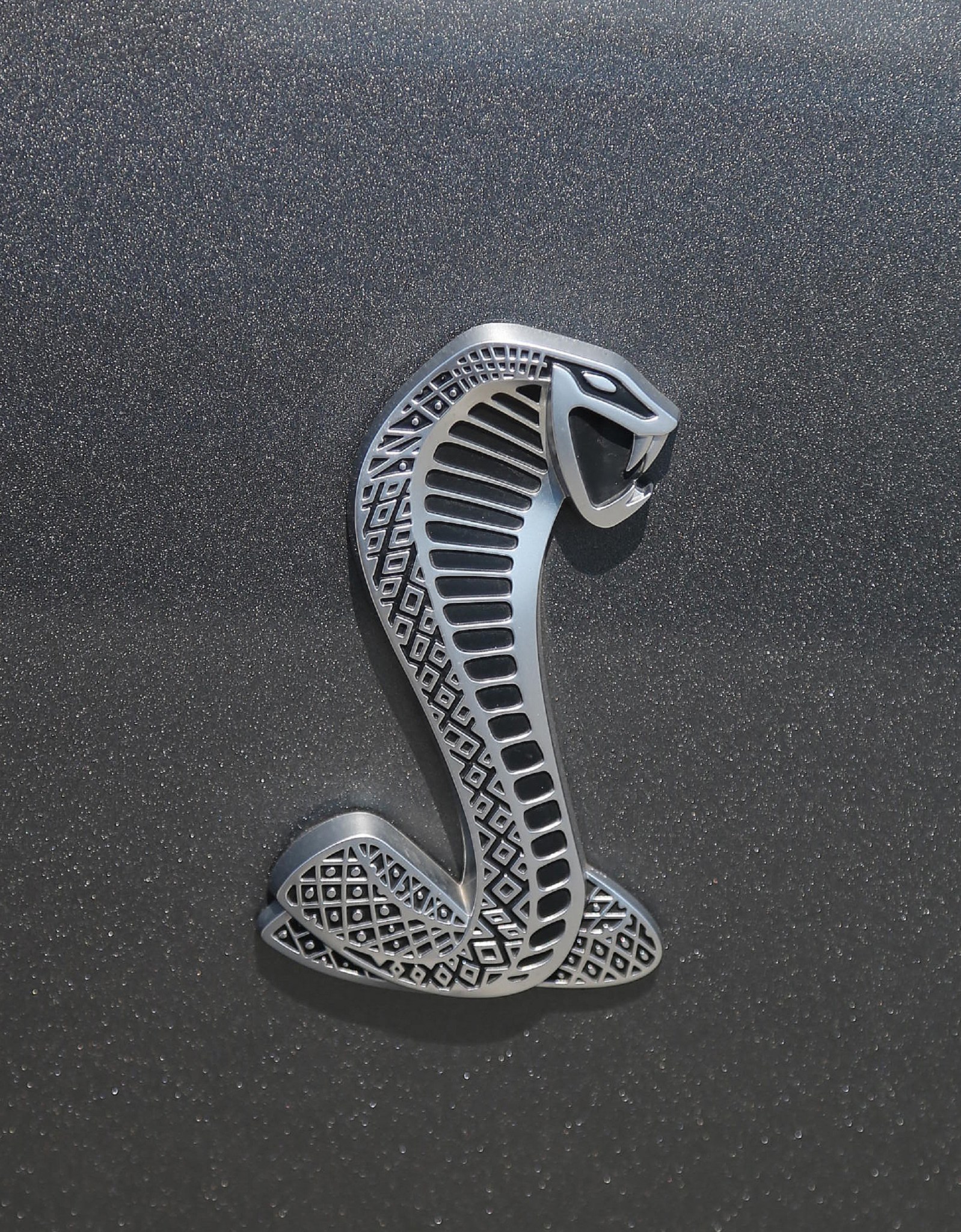 What Is a Mustang Cobra?