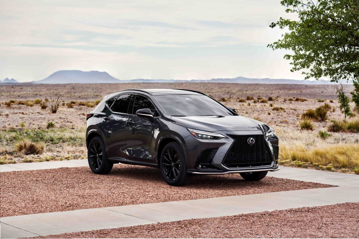The 2022 Lexus NX Has 1 Advantage Exclusive to Its Gas-Powered Model