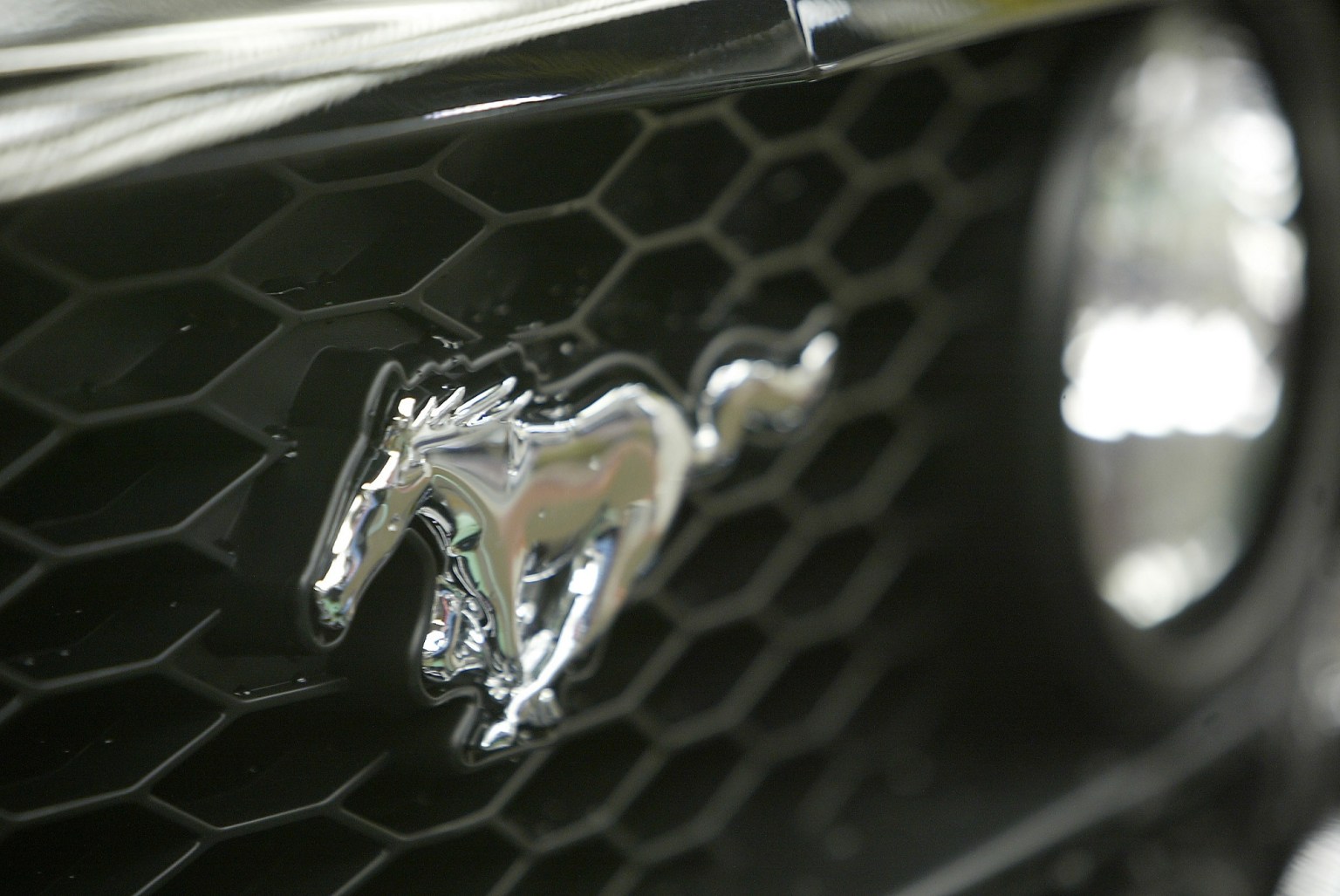 3V Mustang: What Is a 3V Pony Car?