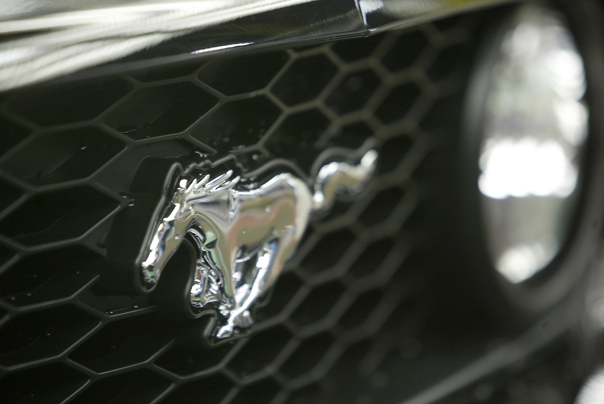 3V Mustang: What Is a 3V Pony Car? - MotorBiscuit
