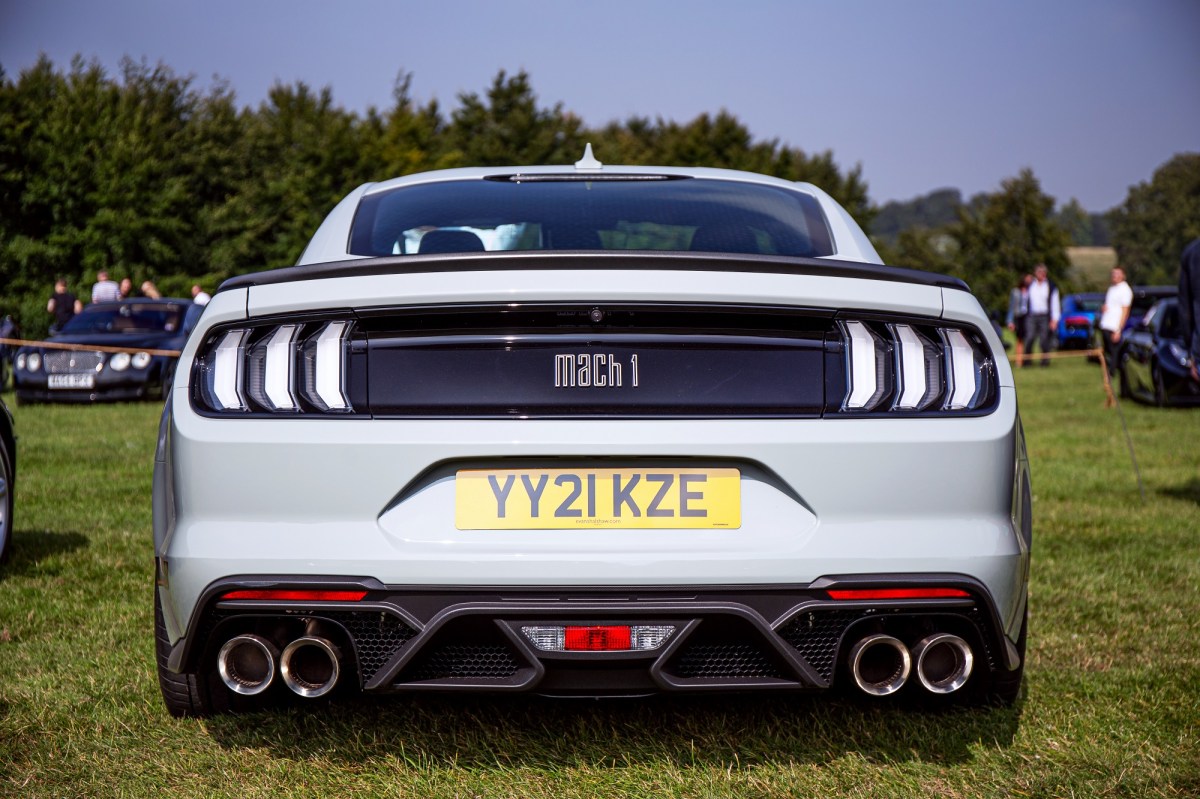 The Mustang Mach 1 Has 3 Advantages Over the Shelby GT350