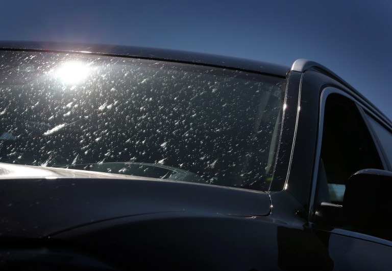 Have You Noticed Fewer Bugs on Your Windshield?
