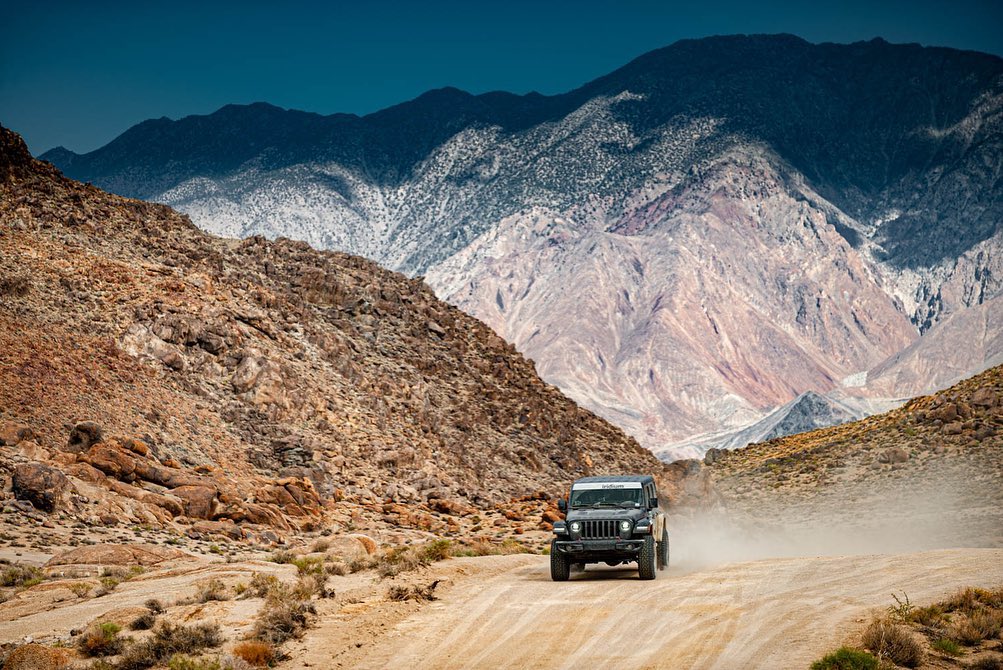 11 Crucial Rebelle Rally Facts You Need to Know