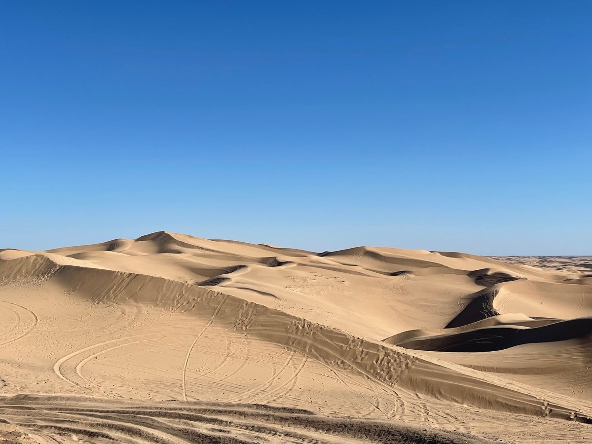 11 Crucial Rebelle Rally Facts You Need to Know