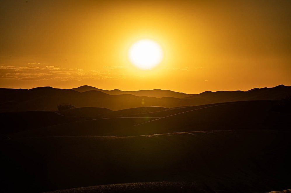 11 Crucial Rebelle Rally Facts You Need to Know