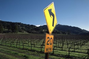 What Is a Curve Management System and How Does it Work?