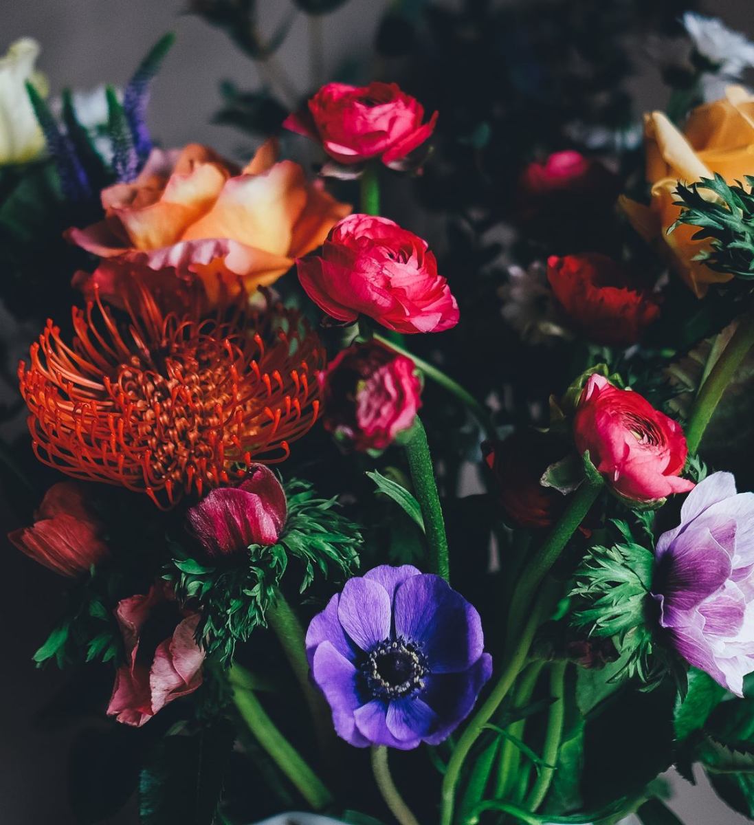 'Corolla' Name for Toyota Corolla Has a Beautiful Meaning