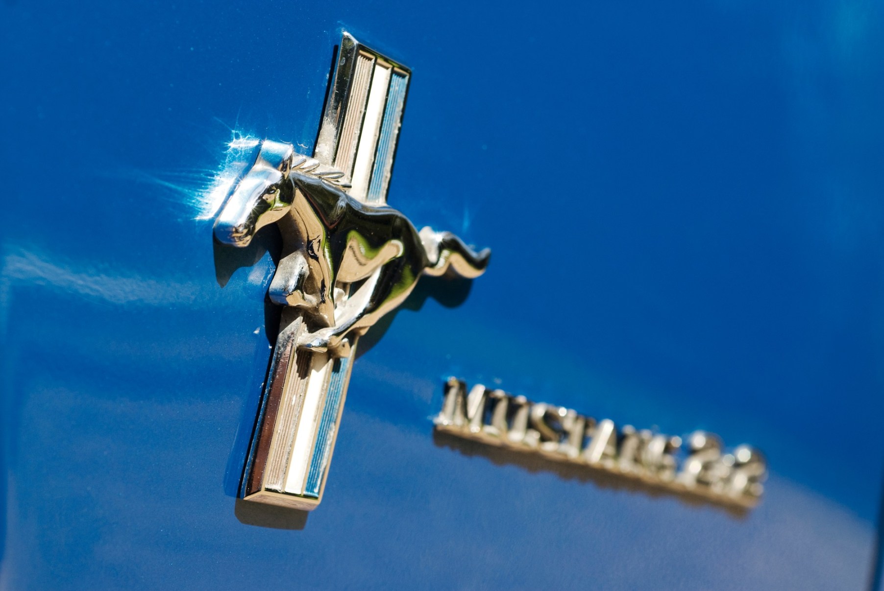 Ford Mustang Logos Aren’t Just Ponies