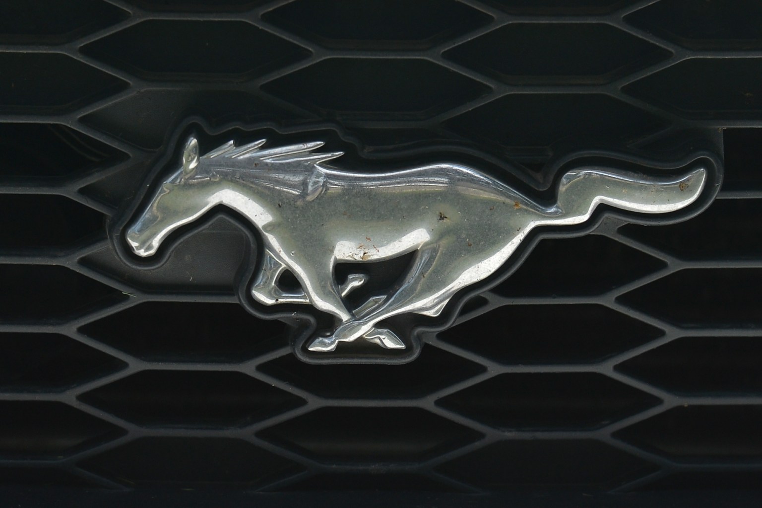 Ford Mustang Logos Aren’t Just Ponies