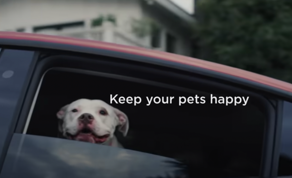 Tesla Dog Mode: New and Improved