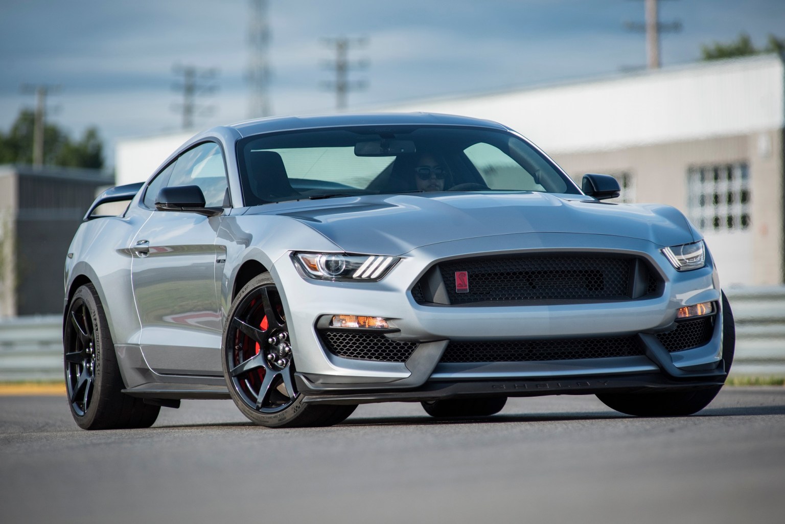 The Fastest Mustangs Ranked Is a Shelby-Dominated Stable With Nearly ...