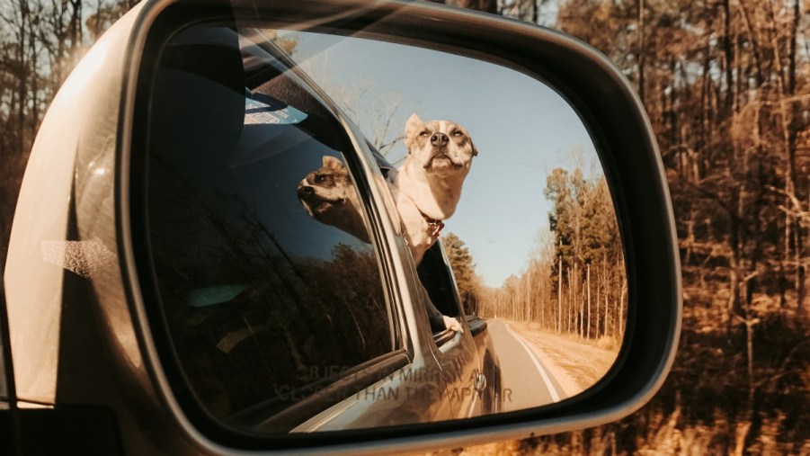 Why Are Objects in a Mirror Closer Than They Appear?