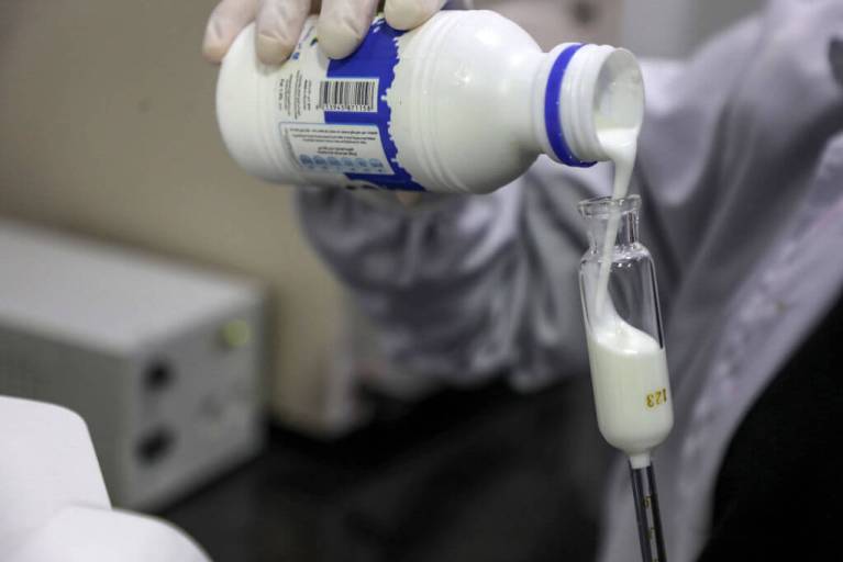 Report: U.S. Farmers Are Turning Milk Into Fuel for Cars