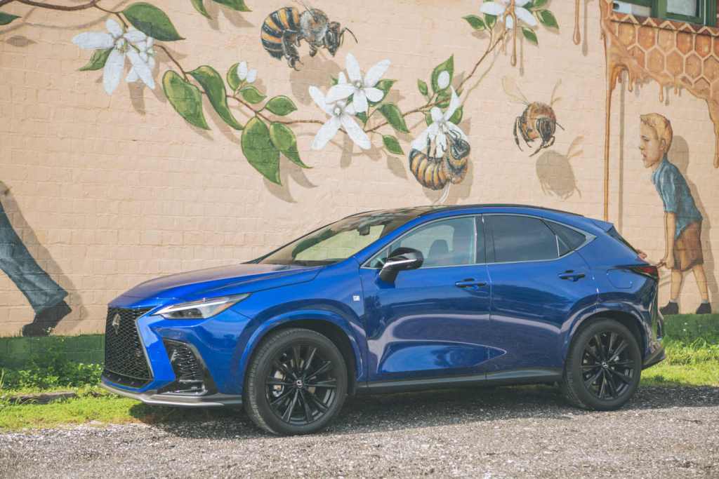 Driven: Elevate Your Adventures With the 2023 Lexus NX 350