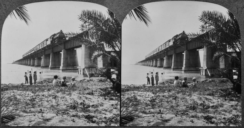 Discover the Fascinating Tale of Fred the Tree on Florida's Seven Mile ...