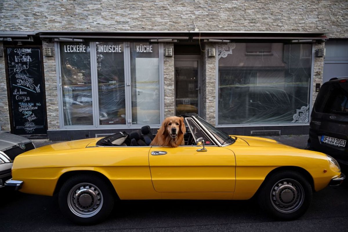 What Is a Cabriolet?