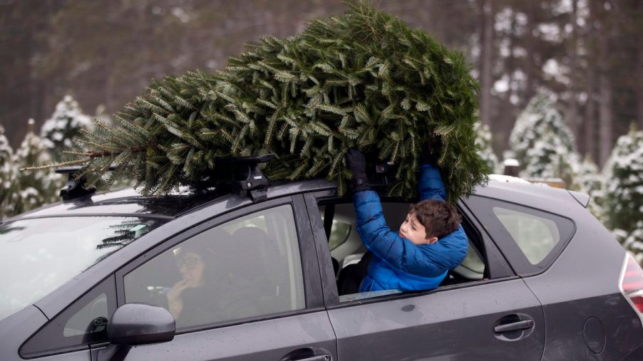 Are You Truly Prepared to Fasten a Christmas Tree to Your Car Roof Safely?