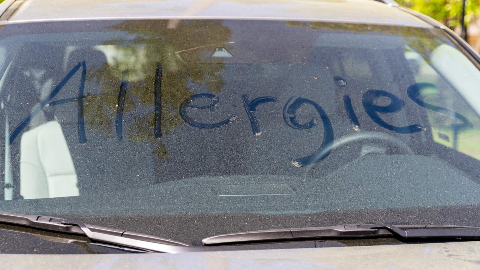 Does Pollen on Cars Cause Damage?- MotorBiscuit