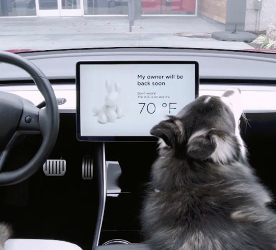 Tesla Dog Mode Malfunctions Make Life Ruff for Owners and Dogs