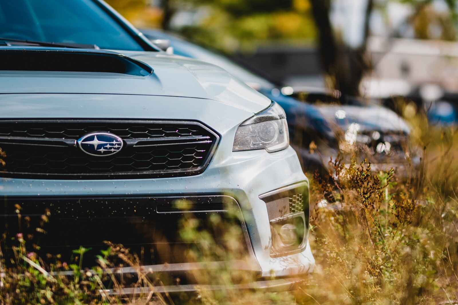 Subaru driver paying 28% interest calls his car loan 'highway robbery'