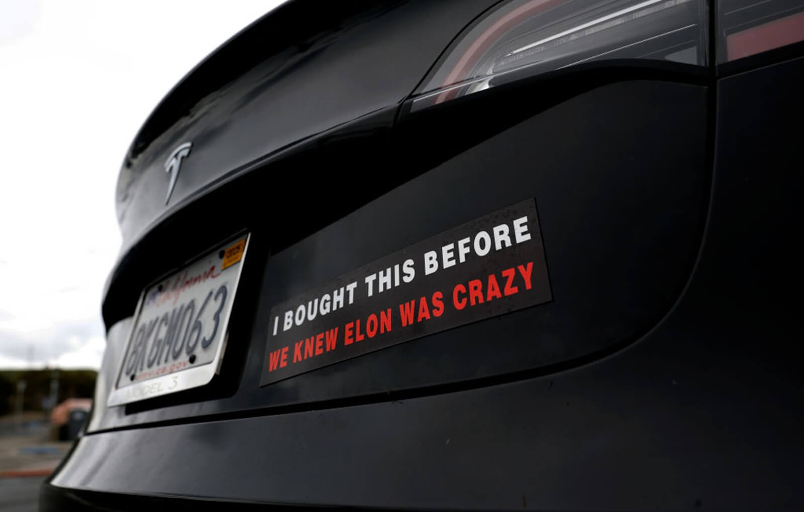 Hawaii man made over $100K a month selling anti-Elon Musk stickers