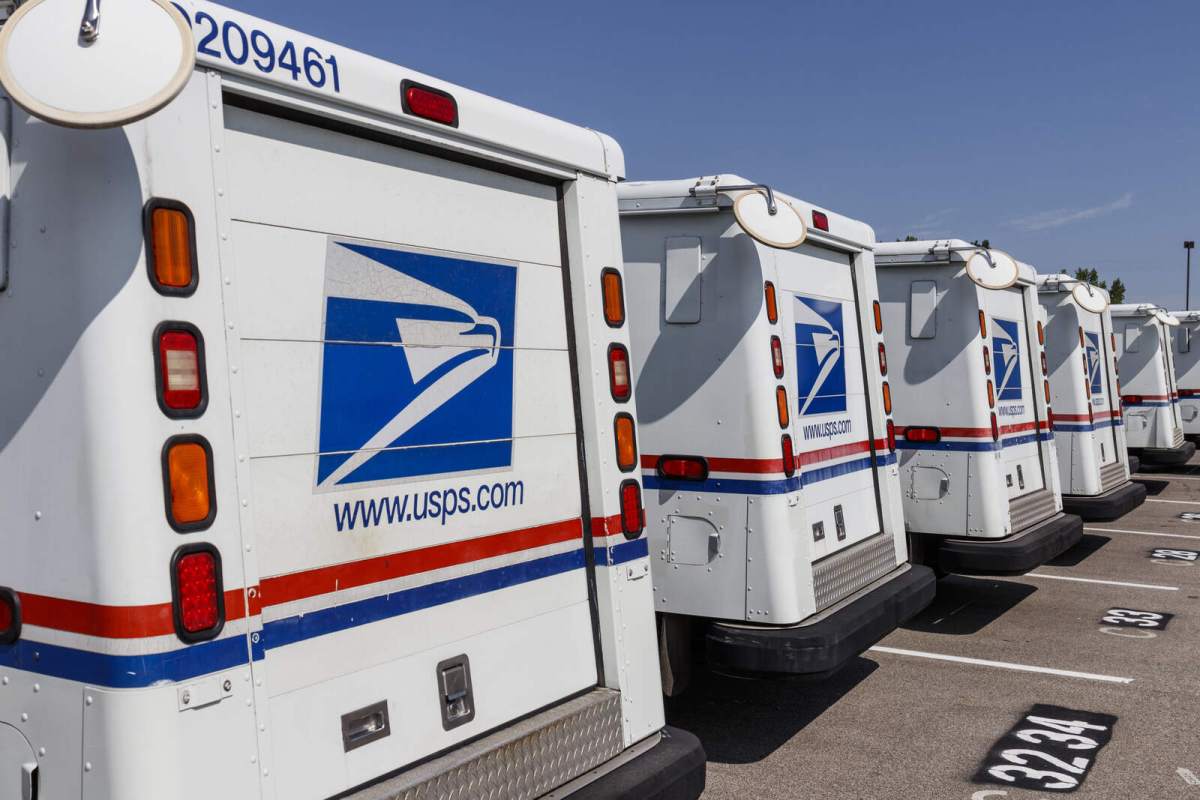 USPS leaves 12,000 baby chicks meant to go to Florida, Ohio, and Texas ...