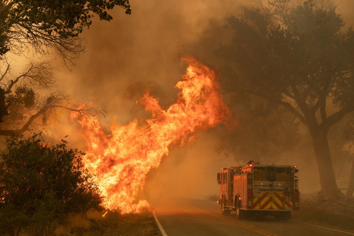 California firefighter gets ejected from truck during 200 ft drop