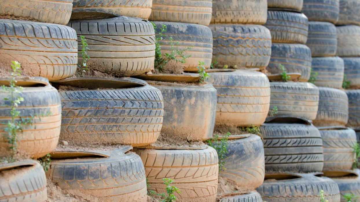 Car News & Reviews | MotorBiscuit