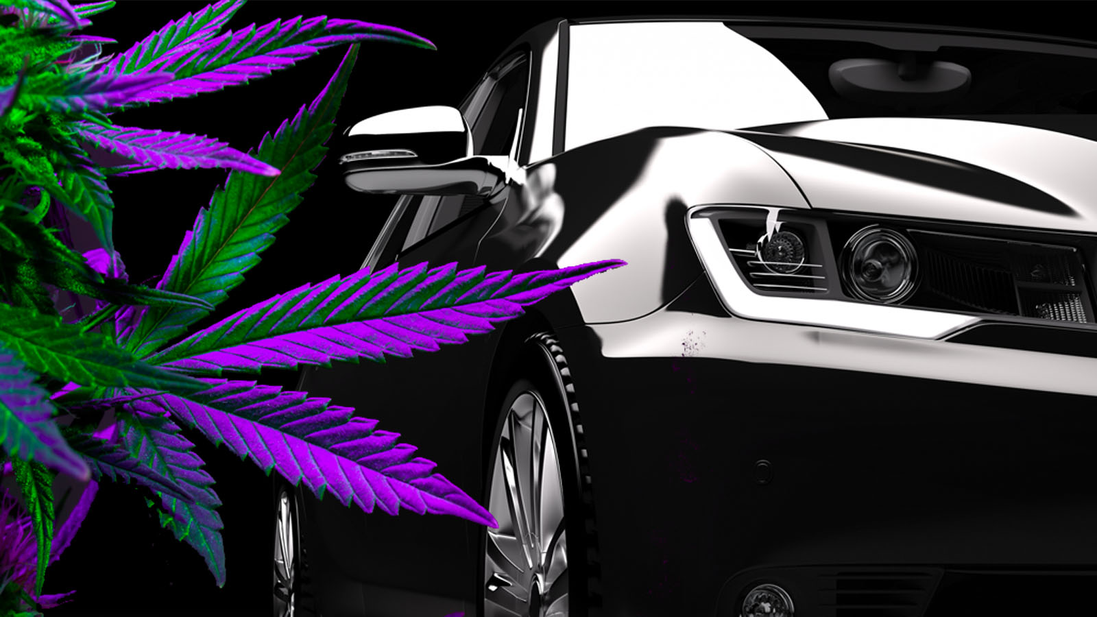 Virginia Man Gets 40 Years for Running Massive Weed Operation From ...