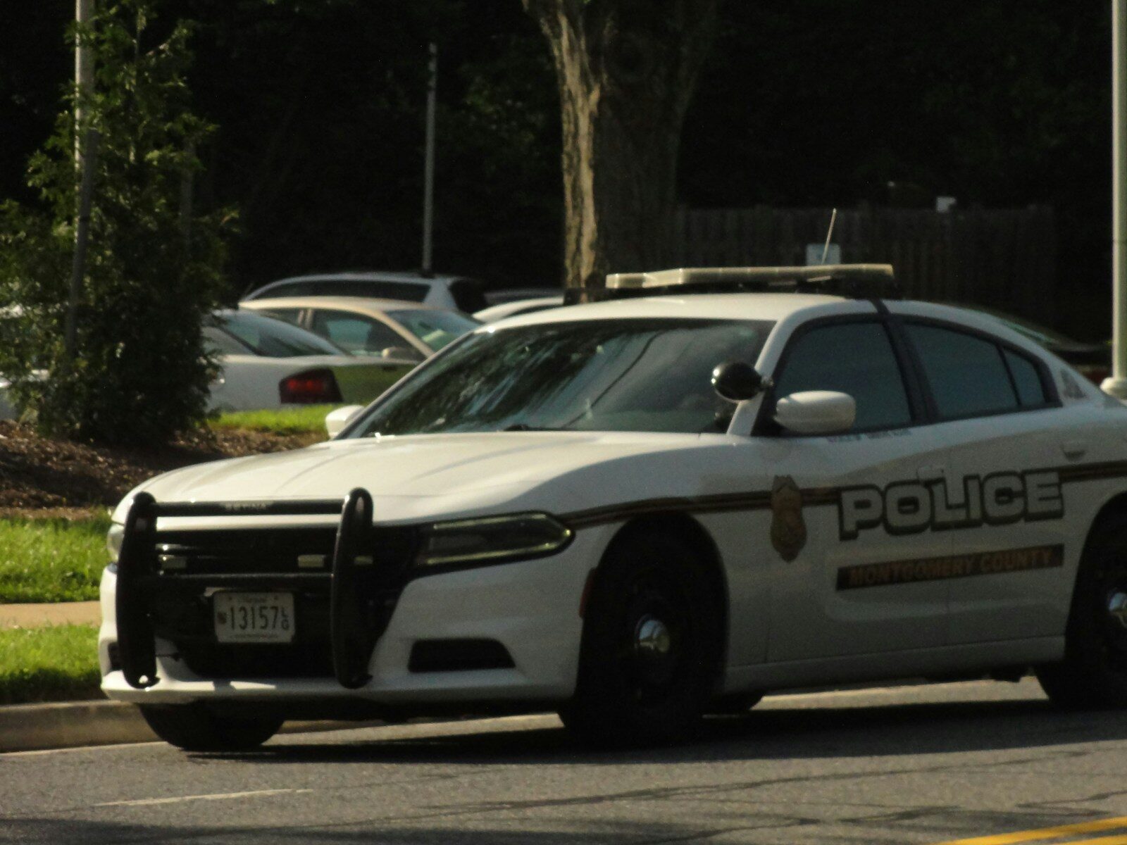 7-Year-Old Ejected From Ford F-150 Lands on Georgia Police Cruiser in ...